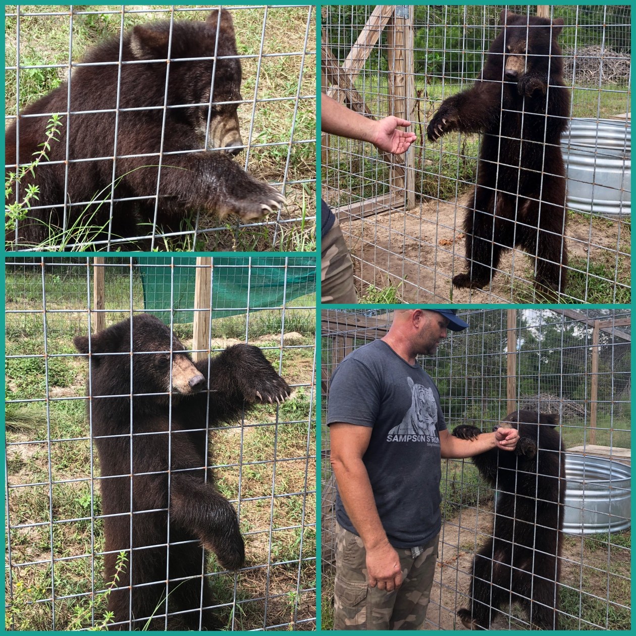 Single Vision Animal Sanctuary … a MUST visit in Melrose, Florida – My ...