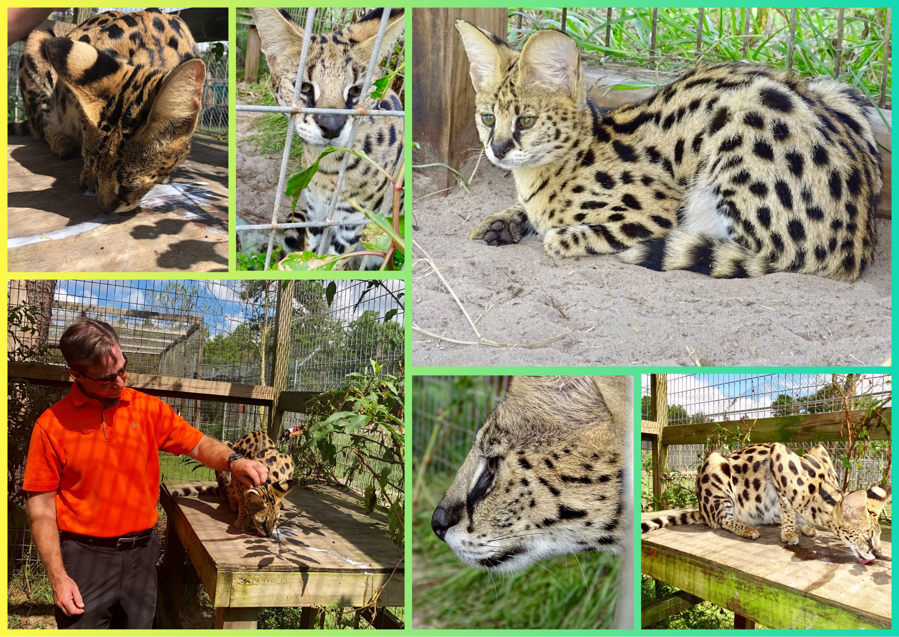 Single Vision Animal Sanctuary … a MUST visit in Melrose, Florida – My ...