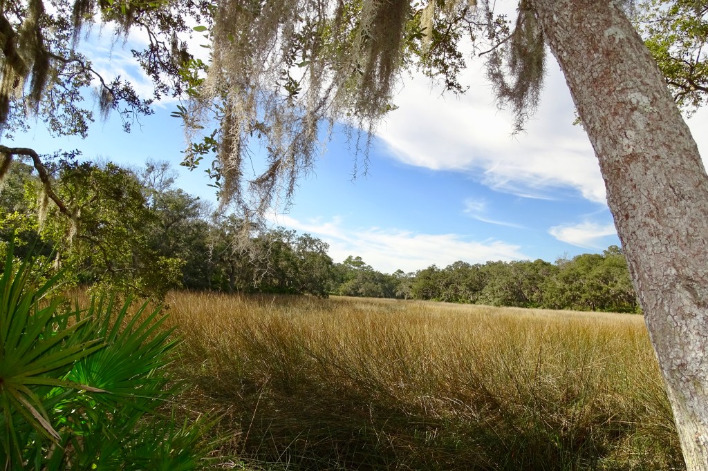 Northeast Florida Hikes: My top 5 – My Florida Life