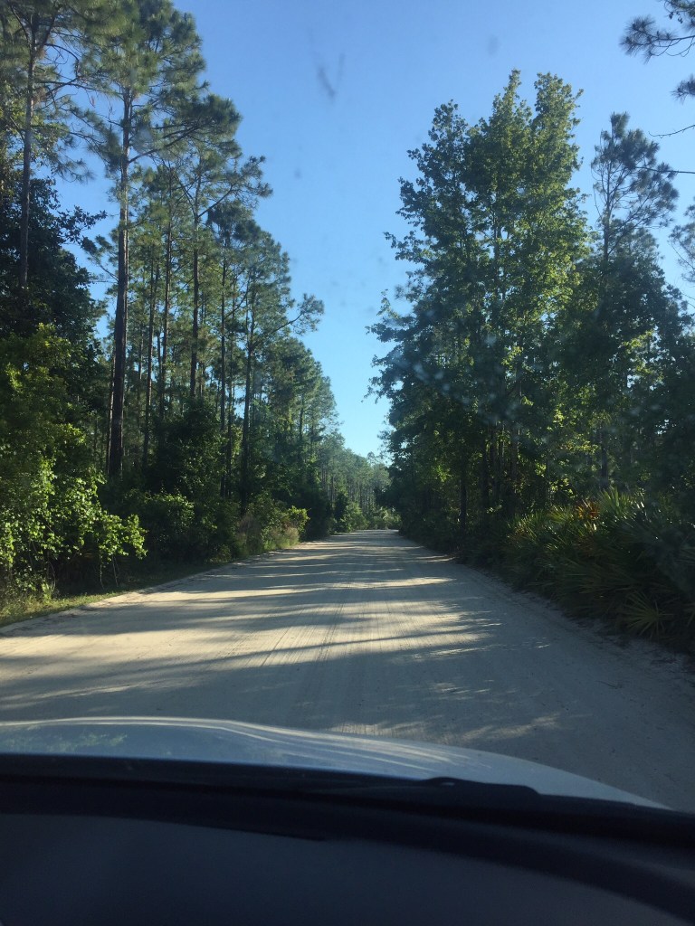 Princess Place Preserve: an “Off the Beaten Path” Place Worth Visiting ...