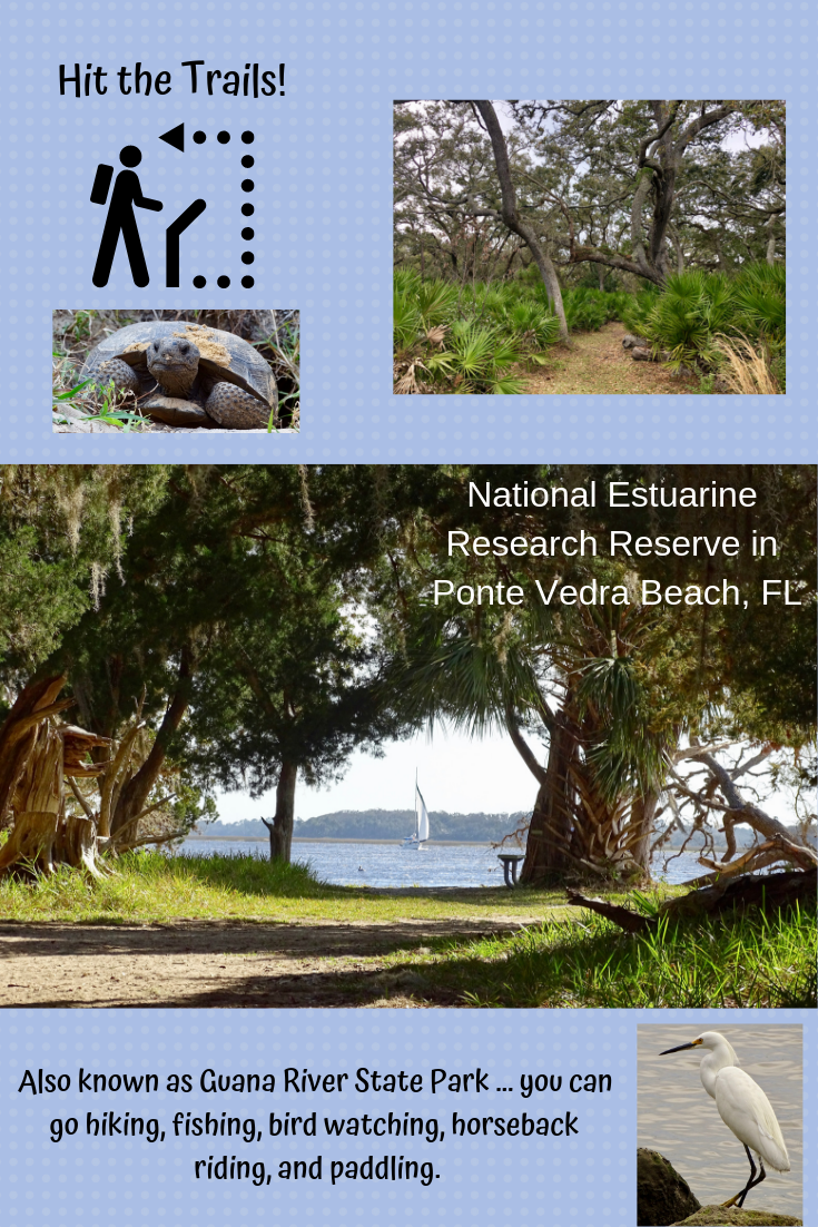 Hit the Trails at this Beautiful Reserve in Ponte Vedra Beach, FL – My ...