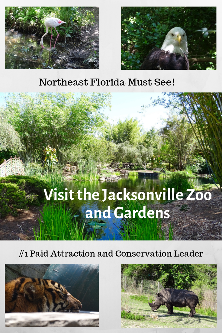 Visit the Jacksonville Zoo & Gardens: A Wonderful Experience for All ...
